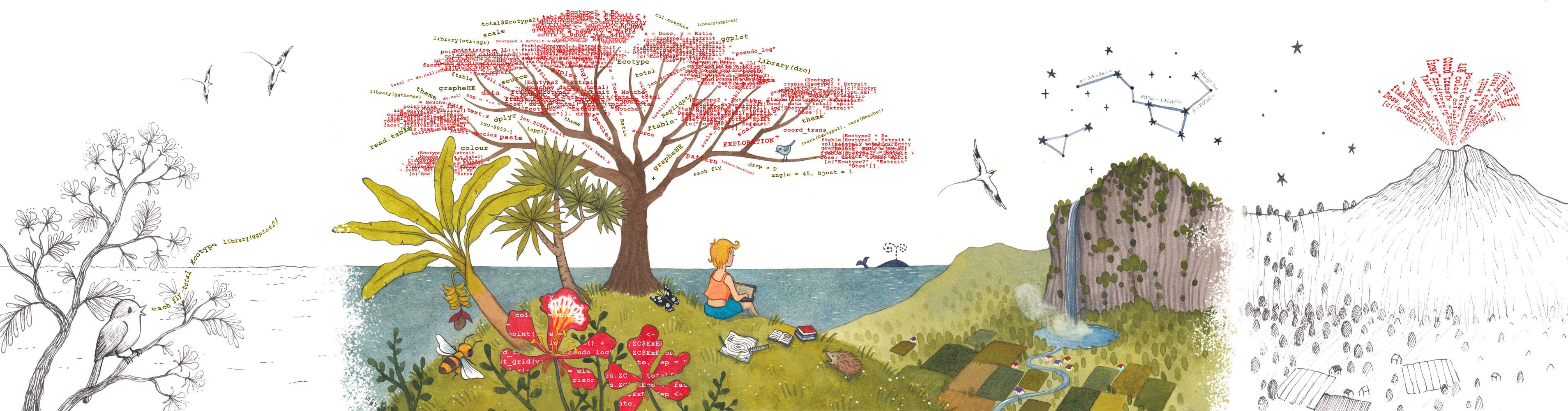 DoAna - Statistiques Réunion